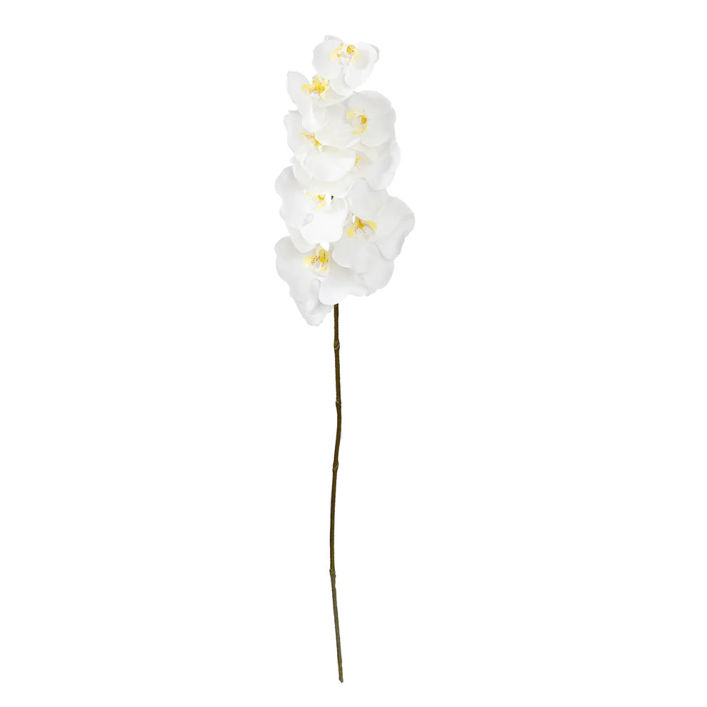 84cm Artificial Real Touch Phalaenopsis Orchid Cream – Domestix Homewares