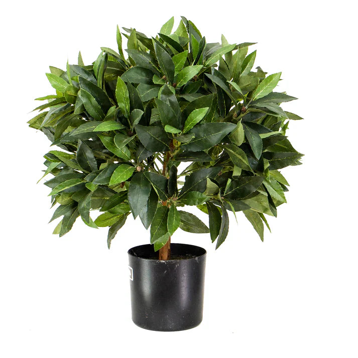 Bay Leaf Ball Topiary Tree 120cm Artificial – Domestix Homewares