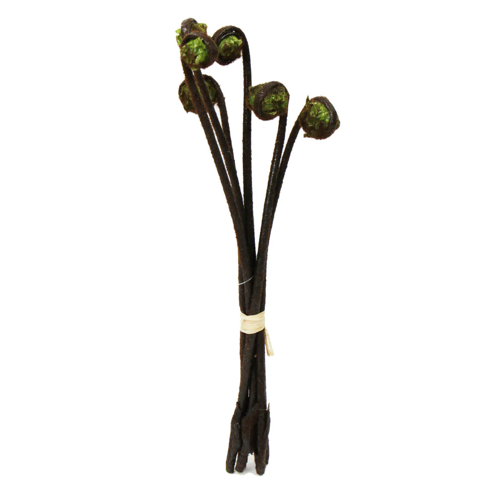 40cm Artificial Dragon Stem Bundle – Domestix Homewares