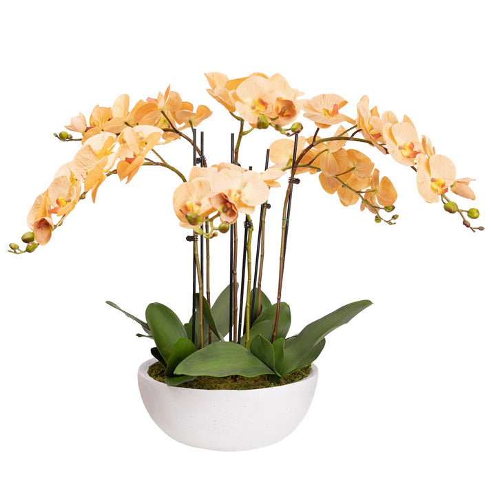90cm Artificial Phalaenopsis Orchid in White Pot Toffee – Domestix ...