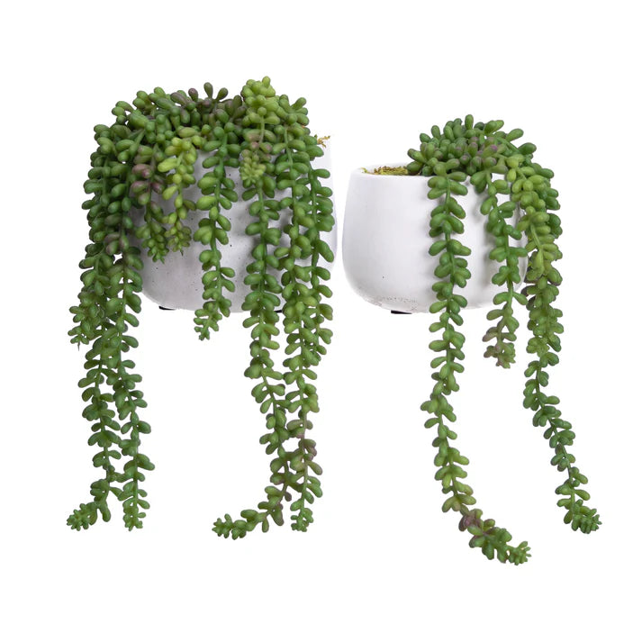 Glamorous Fusion Hanging Pearl in Pot Set - Artificial Flower & Plants ...